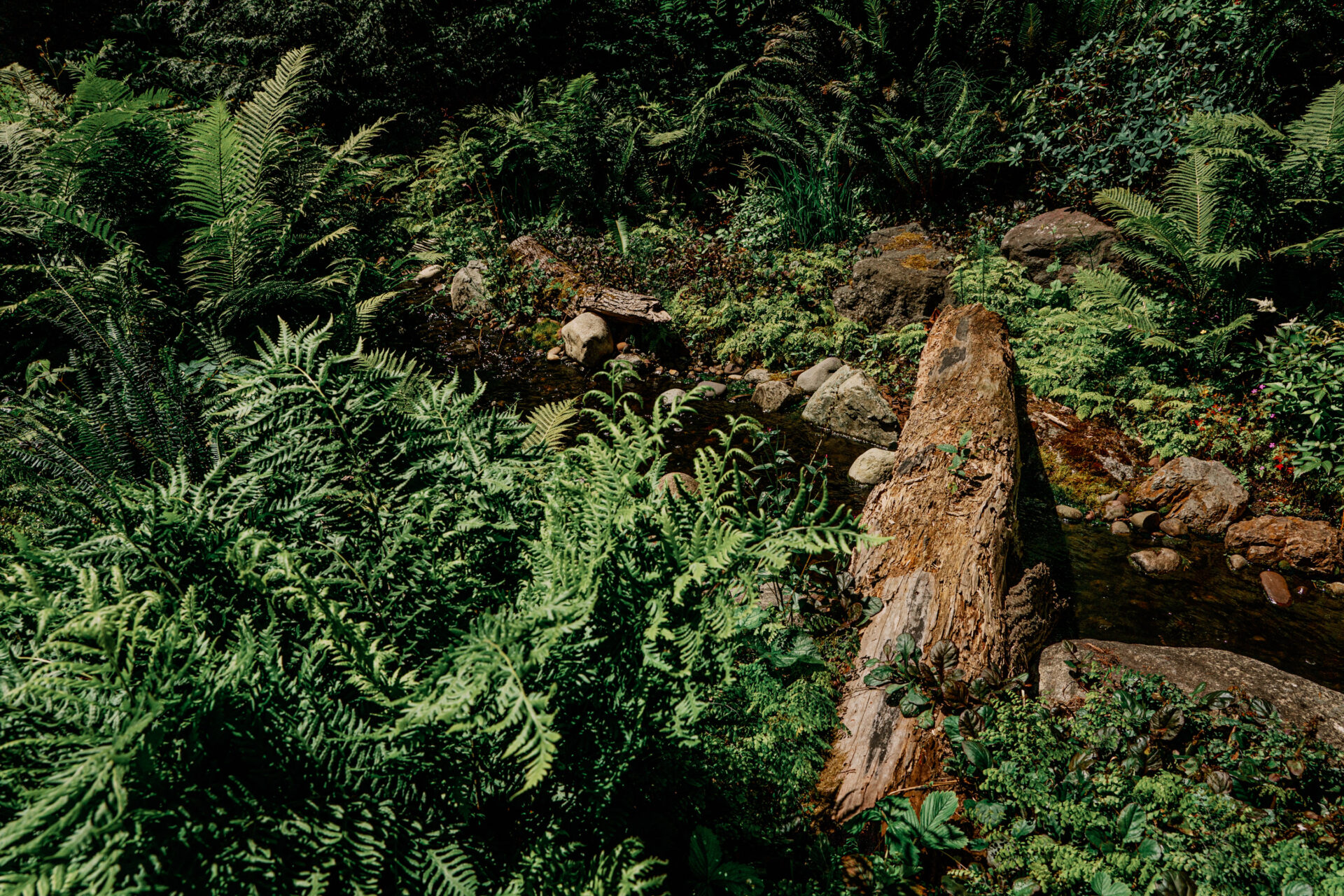 Garden & Design Services - Bella Luna Farms