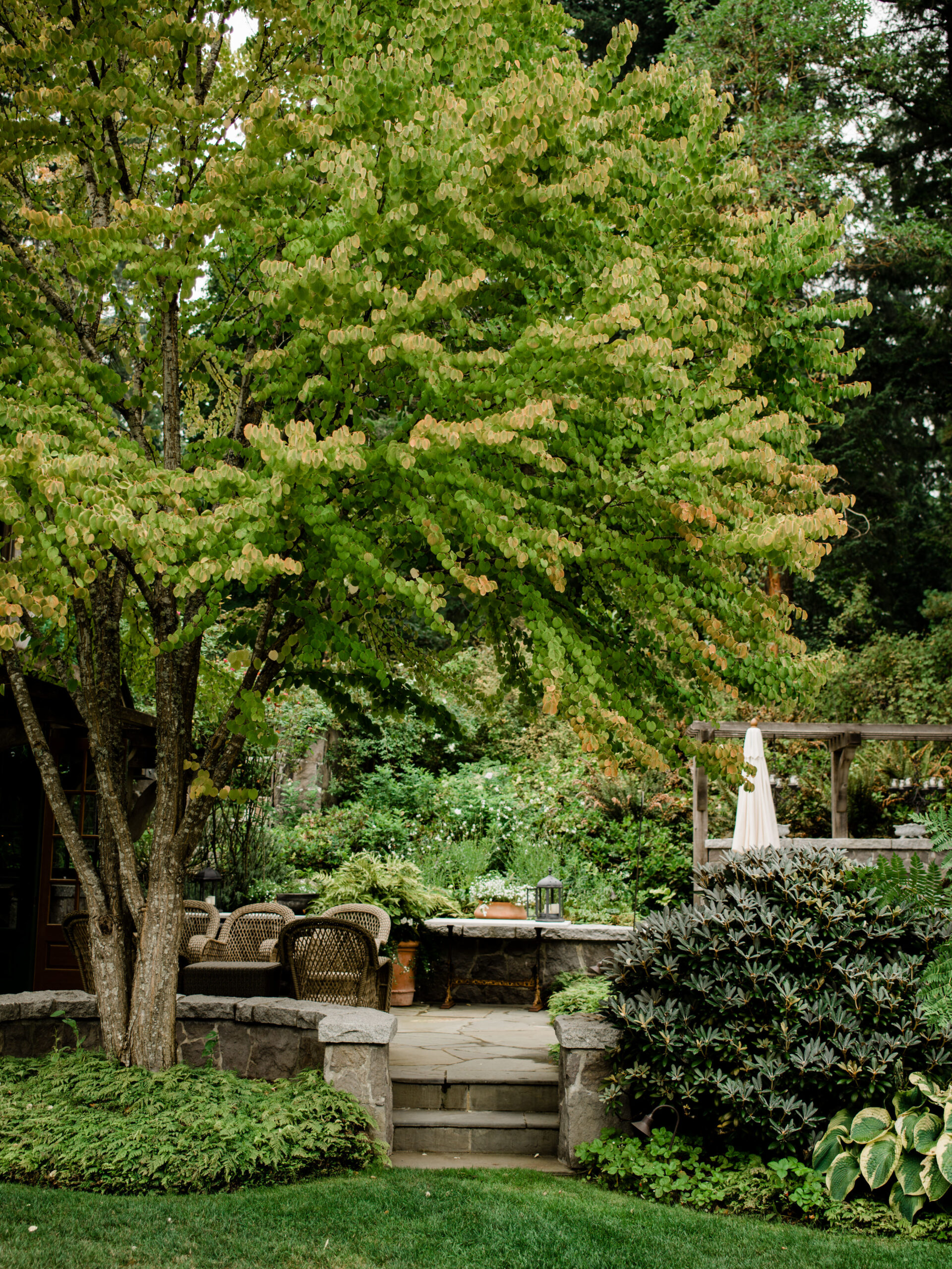 Garden & Design Services - Bella Luna Farms